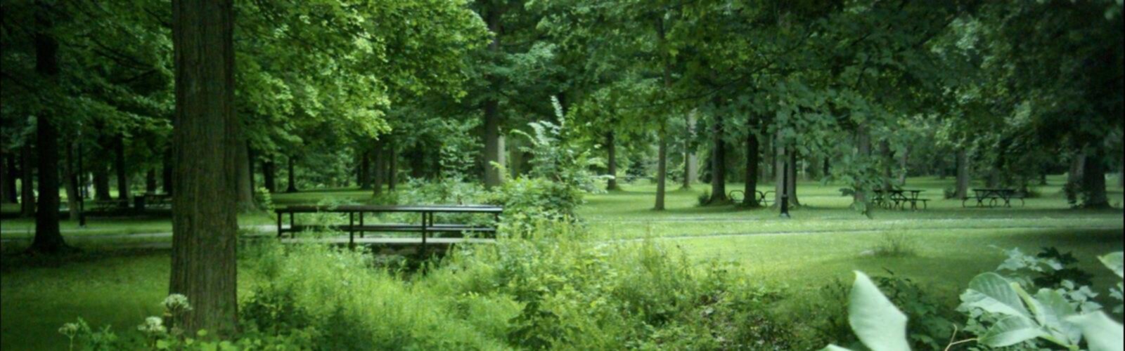 Randonnée au Parc Angrignon : Sentiers, Accès, Vue & Infos utiles