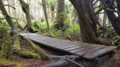 Botanical Beach Provincial Park Hiking Trails - Map of the best trails ...