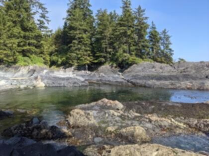 Botanical Beach Provincial Park Hiking Trails - Map of the best trails ...