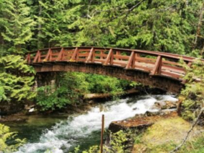 Little Qualicum Falls Provincial Park Hiking Trails - Map of the best ...
