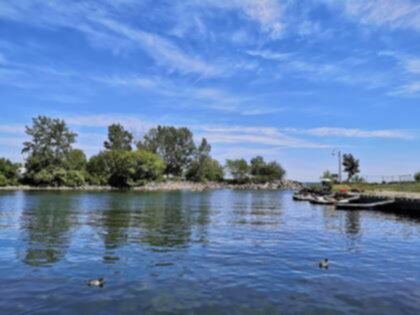 Scarborough Bluffs Trail Hiking Trails - Map of the best trails in 2023