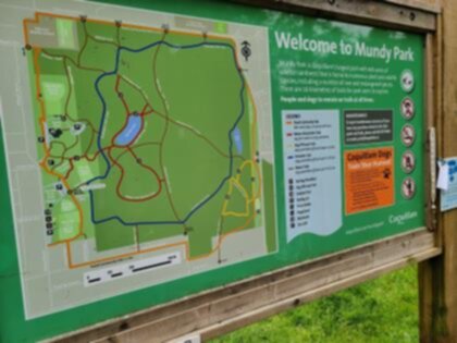 Mundy Park Hiking Trails - Map of the best trails in 2023