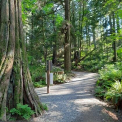 Minnekhada Regional Park Hiking Trails - Map of the best trails in 2024