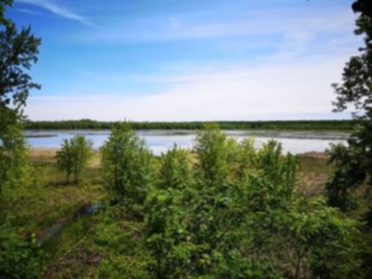 Parc national d'Oka randonnée - Carte des meilleurs sentiers en 2024