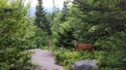 Parc National Du Mont-mégantic Hiking Trails - Map of the best trails ...