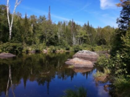 Parc De La Rivière Doncaster randonnée - Carte des meilleurs sentiers ...