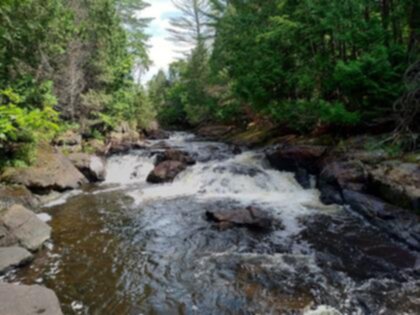 Parc De La Rivière Doncaster randonnée - Carte des meilleurs sentiers ...