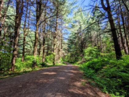 Parc national de la Yamaska randonnée - Carte des meilleurs sentiers en ...