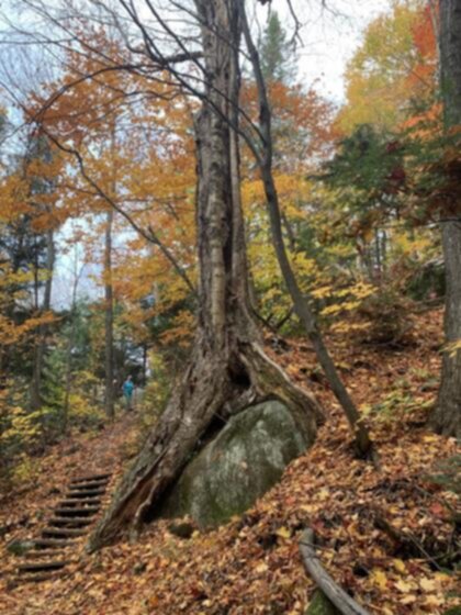 Parc ÉCO Laurentides (CTEL) - Centre Touristique Et Éducatif Des ...