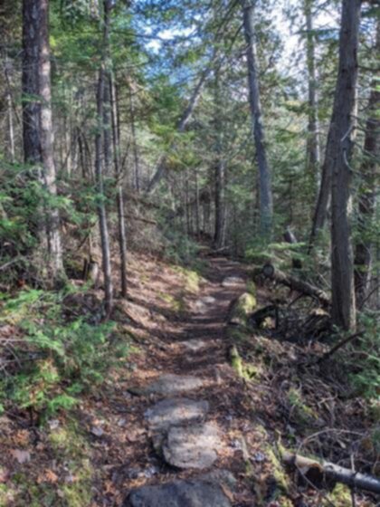 Chute du Diable randonnée - Carte des meilleurs sentiers en 2024