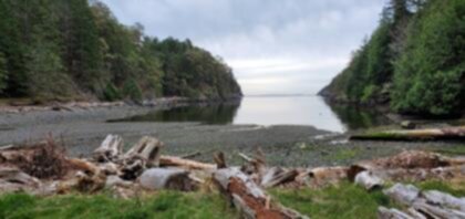 Texada Island Hiking Trails - Map of the best trails in 2023