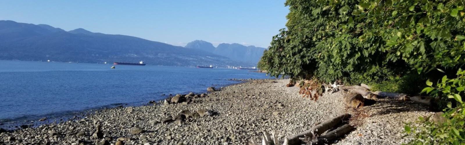 Hiking in Pacific Spirit Regional Park : Guide & Advice