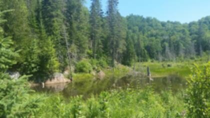 Réserve Faunique De Papineau-labelle Hiking Trails - Map of the best ...