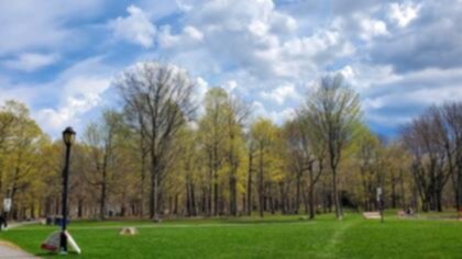 Parc Angrignon randonnée - Carte des meilleurs sentiers en 2023