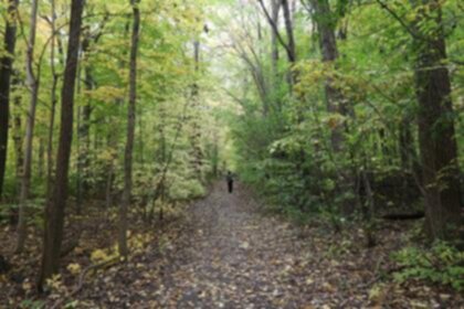 Parc Angrignon randonnée - Carte des meilleurs sentiers en 2023