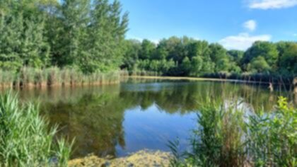 Parc Angrignon Hiking Trails - Map of the best trails in 2024