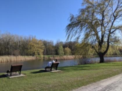 Parc Angrignon Hiking Trails - Map of the best trails in 2024