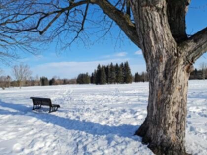 Parc Maisonneuve randonnée - Carte des meilleurs sentiers en 2024