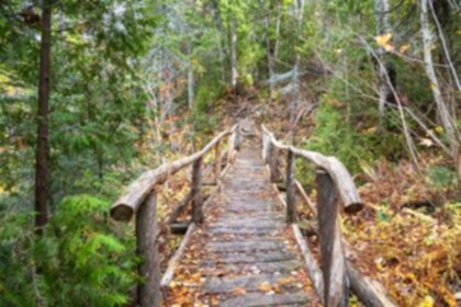 Parc Municipal De La Baie des rochers - Carte des meilleurs sentiers en ...