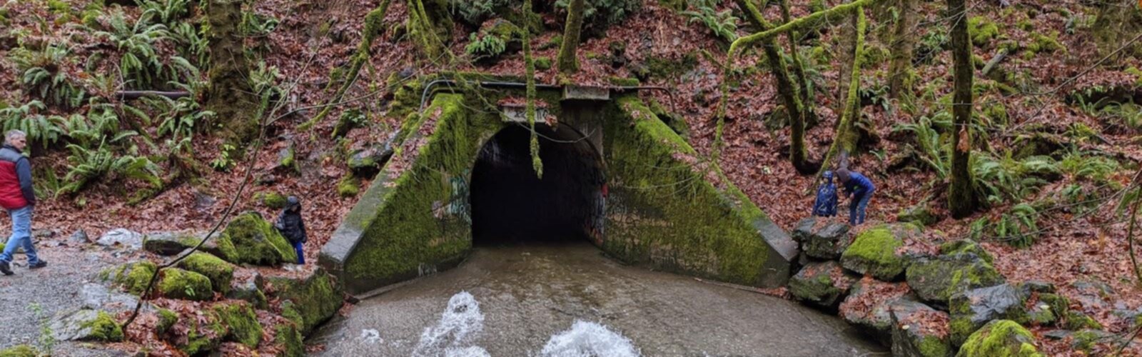 Goldstream Provincial Park Hiking Trails - Map of the best trails in 2023