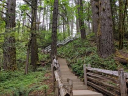 Goldstream Provincial Park Hiking Trails - Map of the best trails in 2024