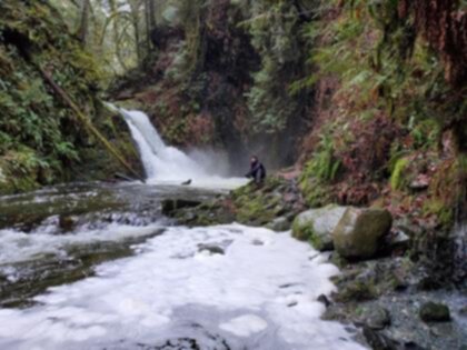 Goldstream Provincial Park Hiking Trails - Map of the best trails in 2023