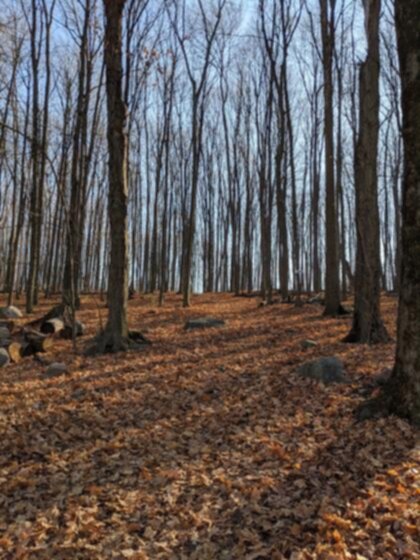 L'escapade - Les Sentiers Du Mont Rigaud randonnée - Carte des ...