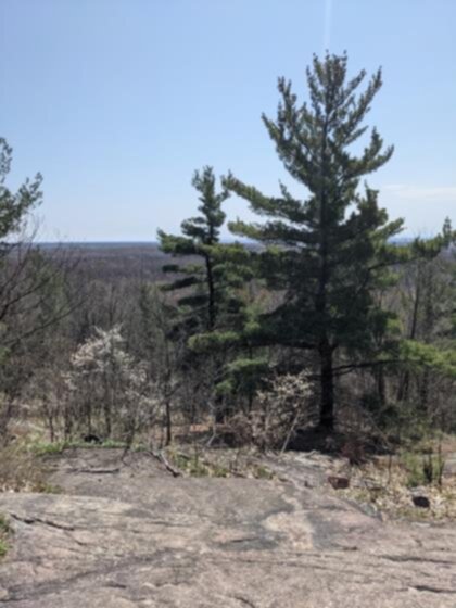 L'escapade - Les Sentiers Du Mont Rigaud randonnée - Carte des ...
